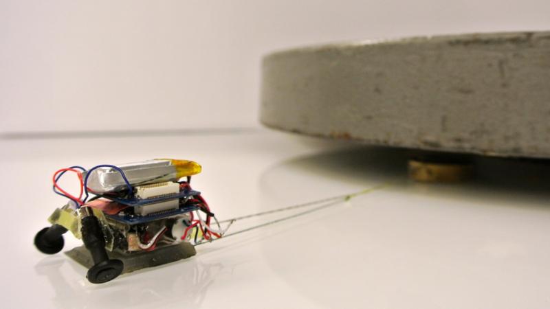 Seven animals that have inspired modern technology - BBC Newsround