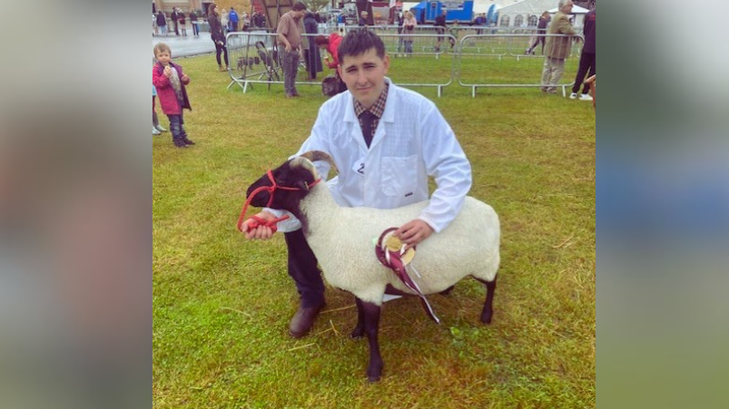Somerset farmer thought Hollywood's The Sheep Detectives offer was scam ...