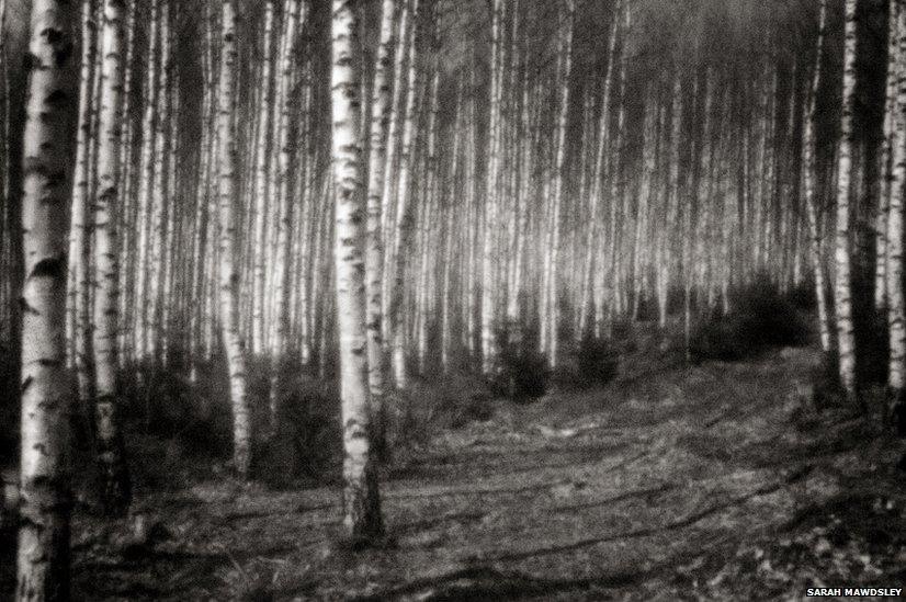 Your pictures: Pinhole photography - BBC News