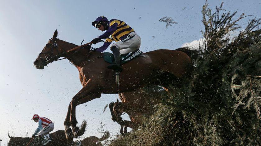 Corach Rambler: 2023 Grand National winner is retired - BBC Sport