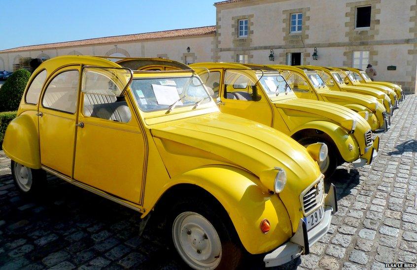 Your pictures: Bright colours - BBC News