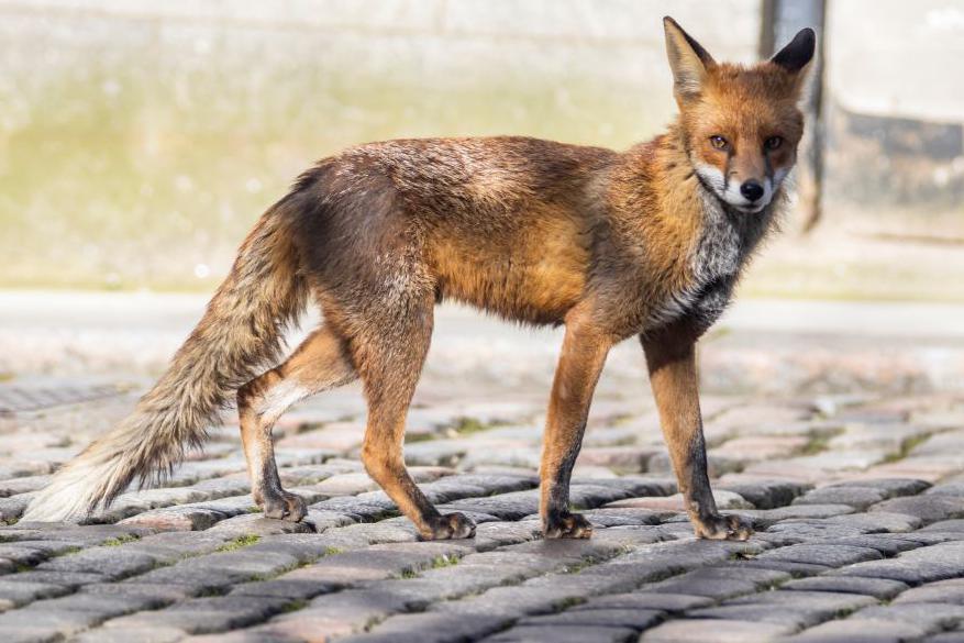 Your pictures of Scotland: 22-29 March - BBC News