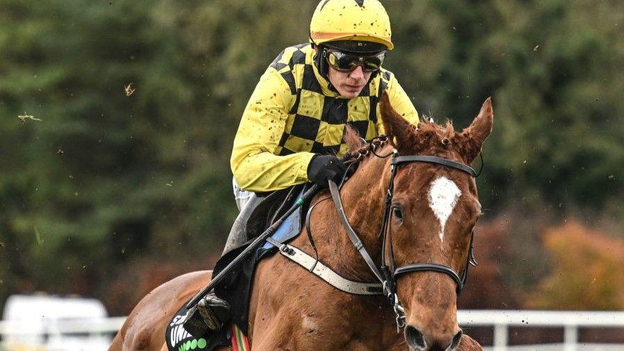 State Man wins third Irish Champion Hurdle after Lossiemouth falls at ...