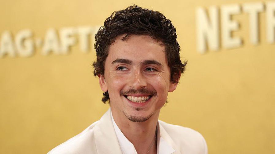 Timothée Chalamet: Artists react to Oscar hopeful's ballet and opera ...