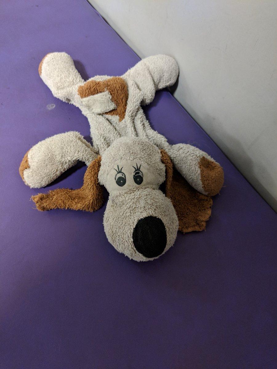 Manchester Airport was on a mission to reunite a toy dog with its owner ...