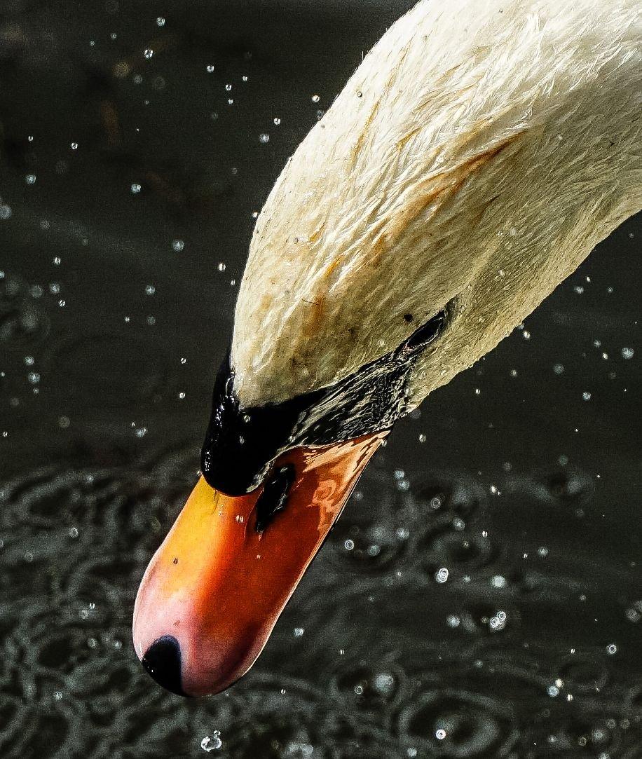 Your pictures of Scotland: 26 August-2 September - BBC News