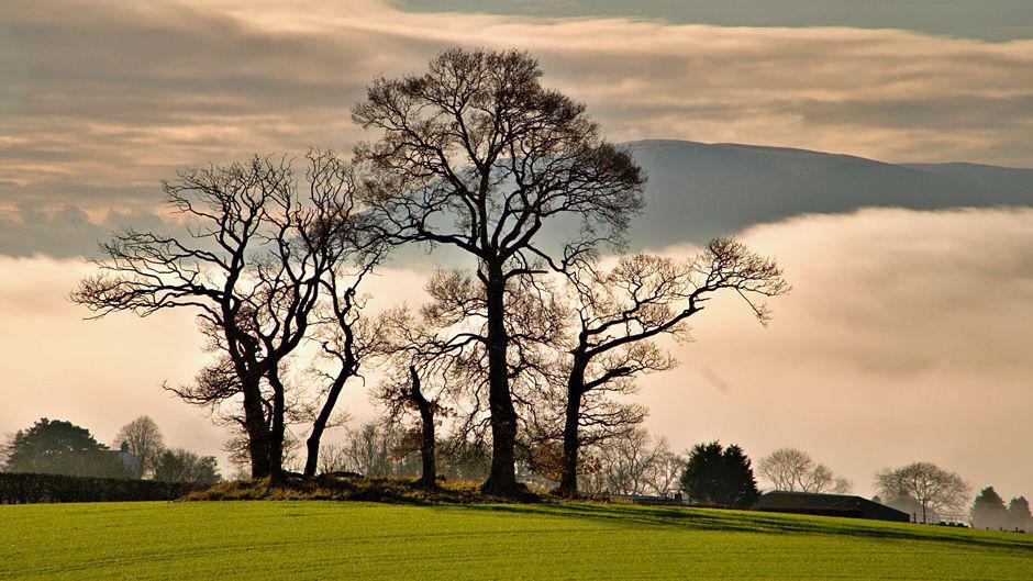 Your pictures of Scotland: Photographs from around the country - BBC News