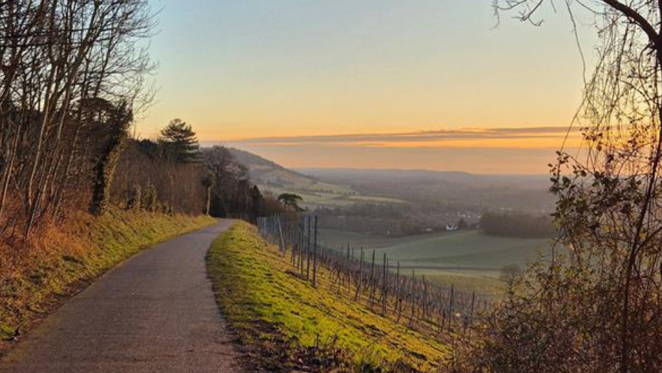 Our favourite photographs from Surrey in 2025 - BBC News