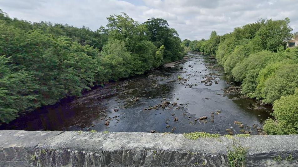 Donegal: Large fish kill in River Finn - BBC News