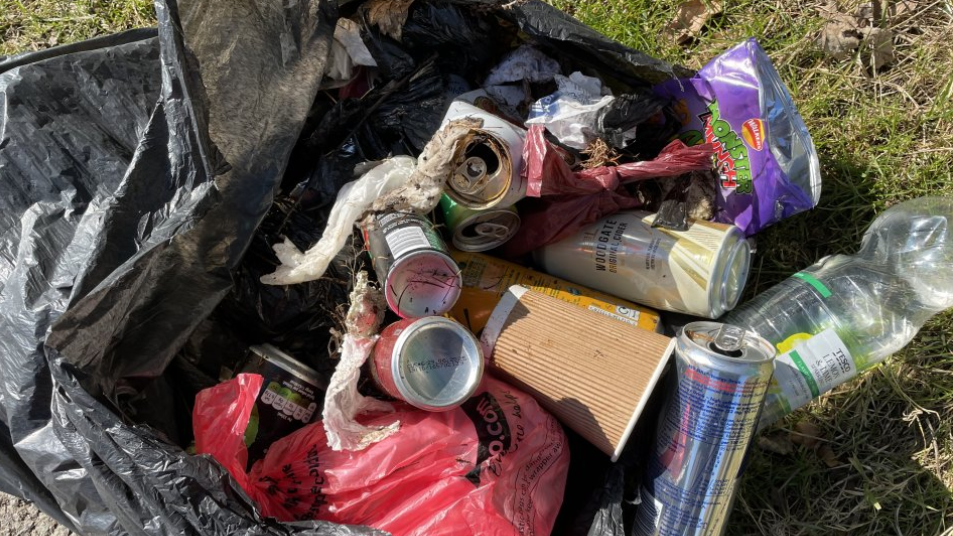 Wombles urge 'everyday folk' to join spring clean in Boston - BBC News