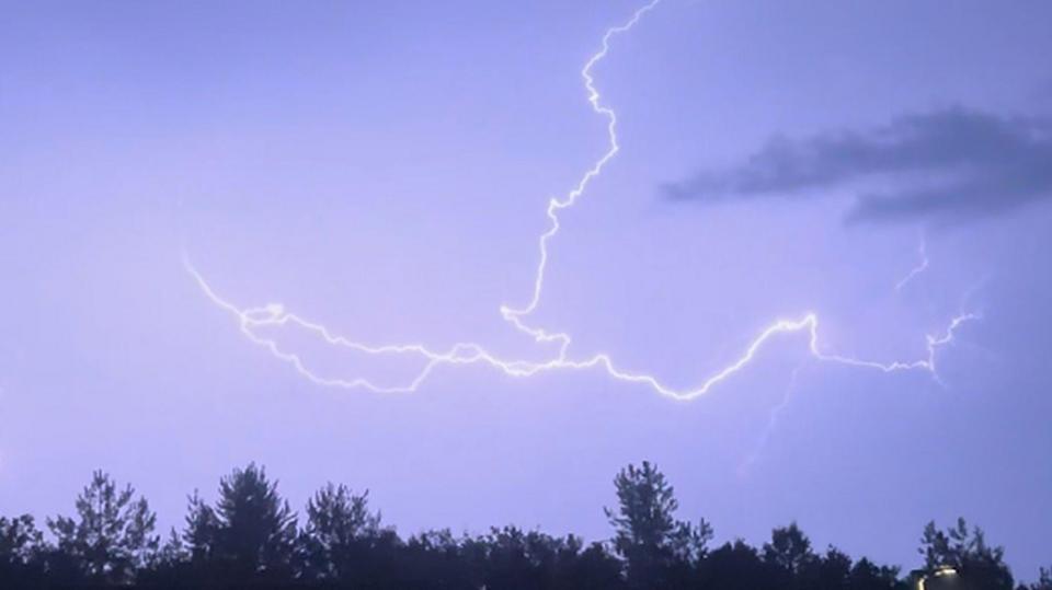 Bristol | Latest News & Updates | BBC News