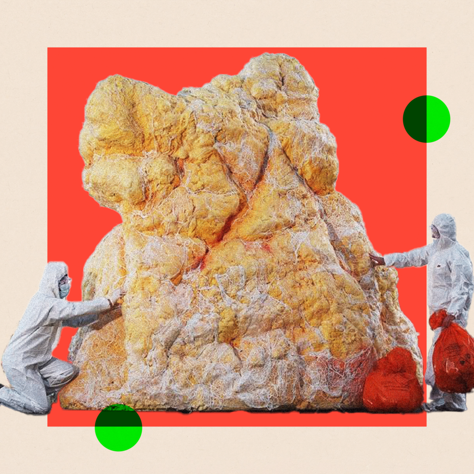 Fatbergs turned into perfume: Britain's new industrial revolution - BBC ...