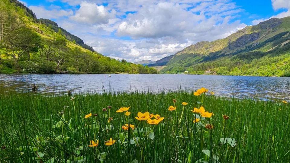 South Scotland | Latest News & Updates | BBC News