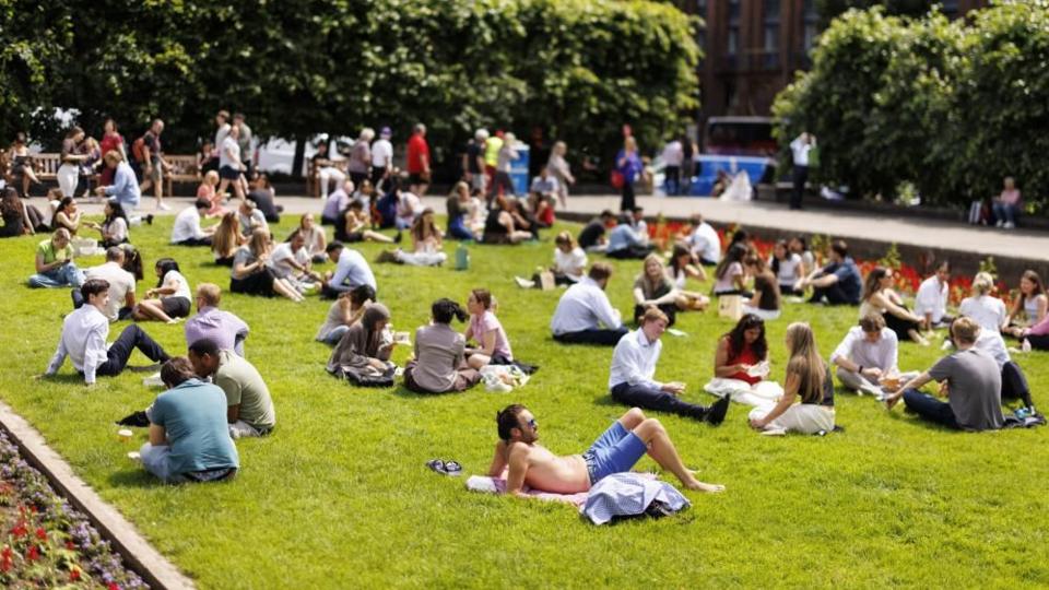 Surrey | Latest News & Updates | BBC News