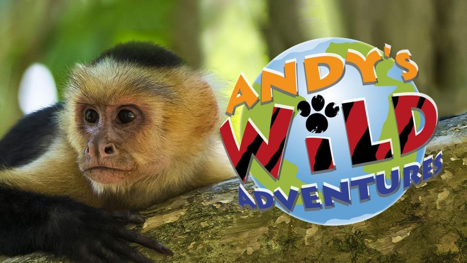Andy's Adventures - CBeebies - BBC
