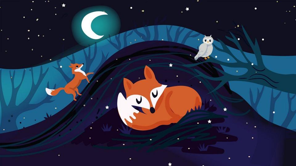 CBeebies Homepage - CBeebies - BBC