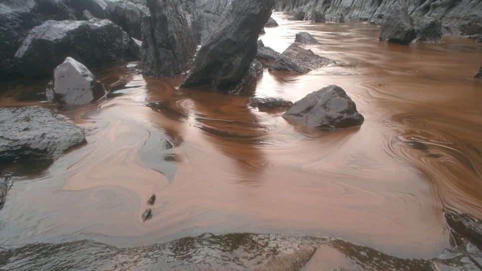 Red eyes and black beaches: How the Sea Empress disaster left its mark ...