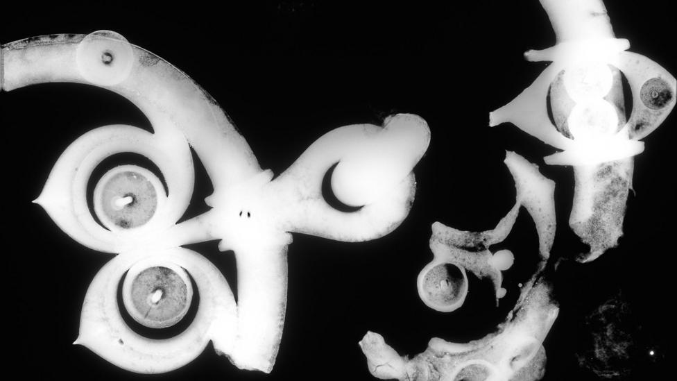 Melsonby Hoard: Discovery of more than 800 Iron Age treasures - BBC ...