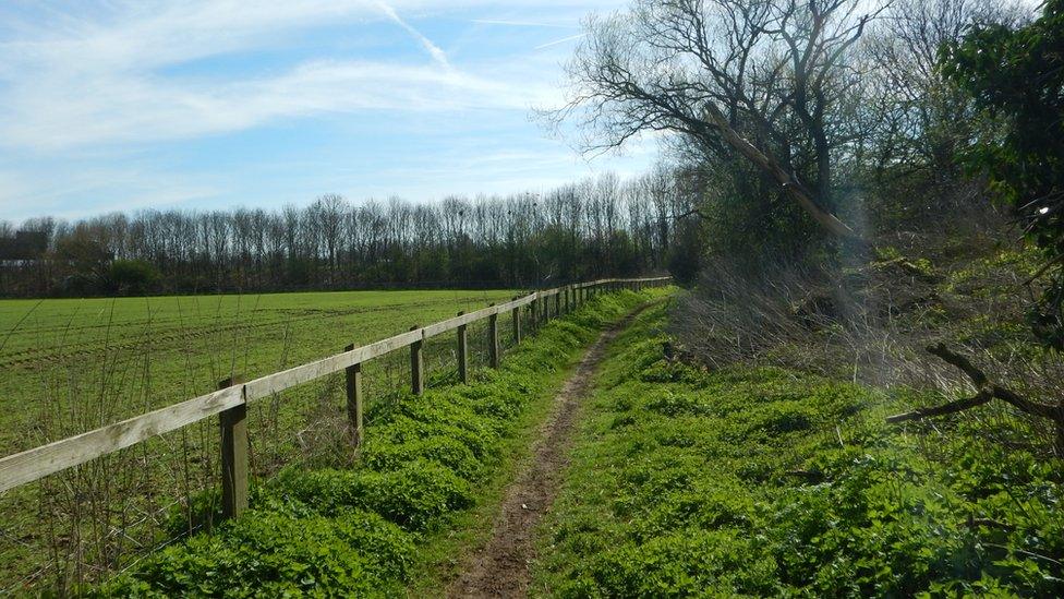 Slough council planners publish 10,000 homes plan for neighbour's green ...