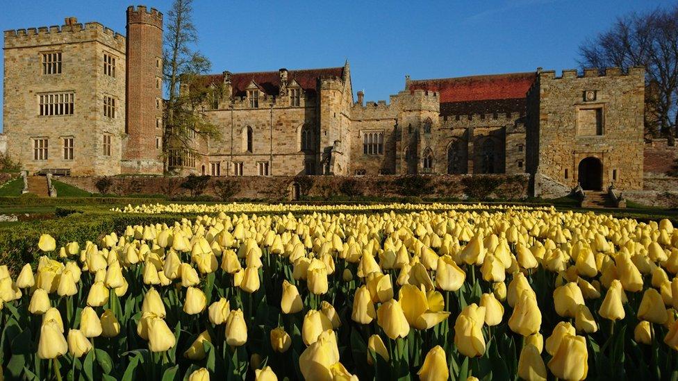 Renegade Nell: Penshurst Place to star in new period adventure - BBC News