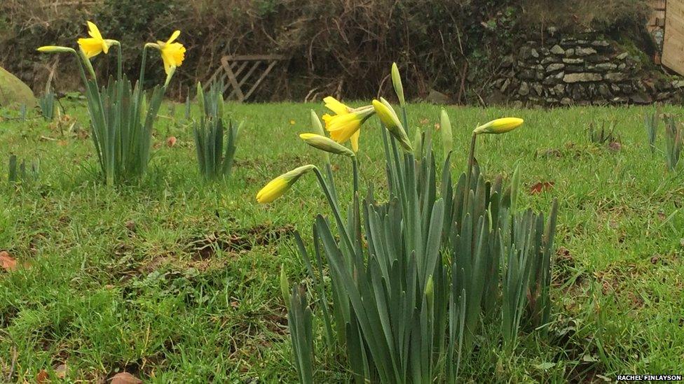 Your UK weather photos - BBC Weather