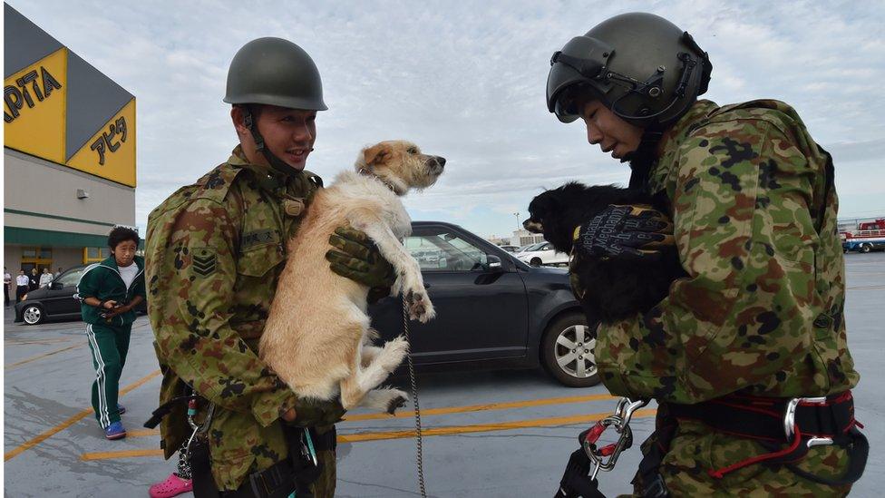 Japan floods: Rescue work continues amid deadly floods - BBC News