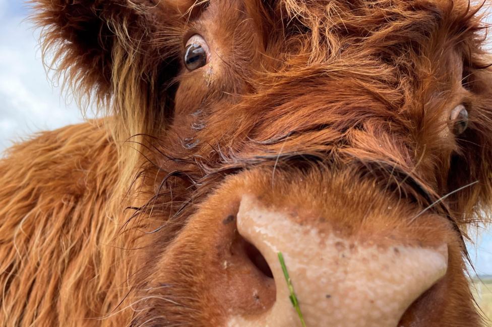 Your pictures of Scotland: Photographs from around the country - BBC News