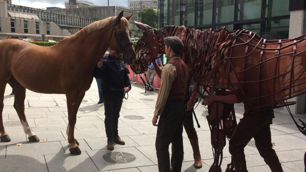 Inside the Devon farm that inspired War Horse - BBC News