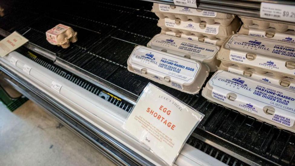 100,000 organic eggs stolen from one US grocer as bird flu drives up ...