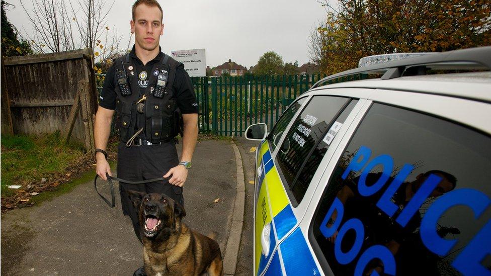 'Hero' dog handler impaled on spike praised for arrest - BBC News