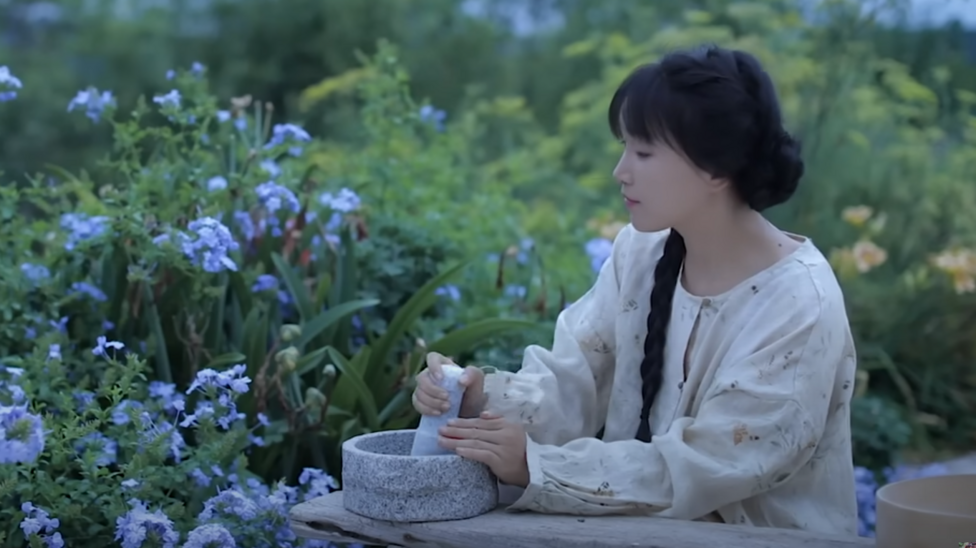 Li Ziqi: Top China influencer returns after three years - BBC News