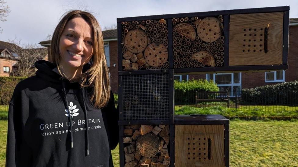 Farnham: Hollywood-inspired bug hotel unveiled - BBC News
