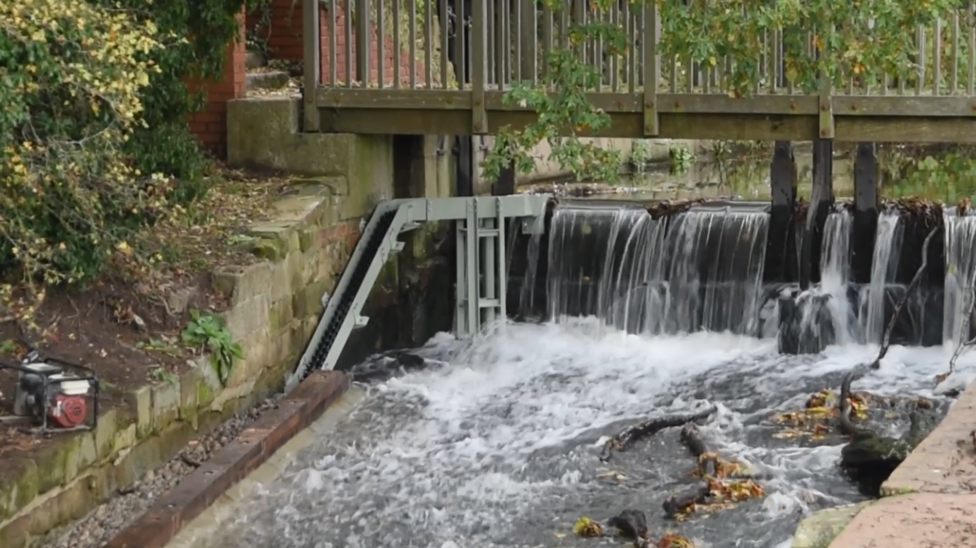 Rufford Mill: New pass installed to support endangered eels - BBC News