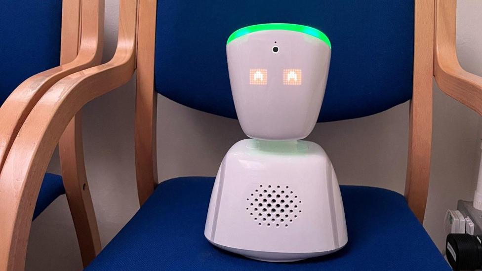 School robot gives boy virtual experience of museum trip - BBC News