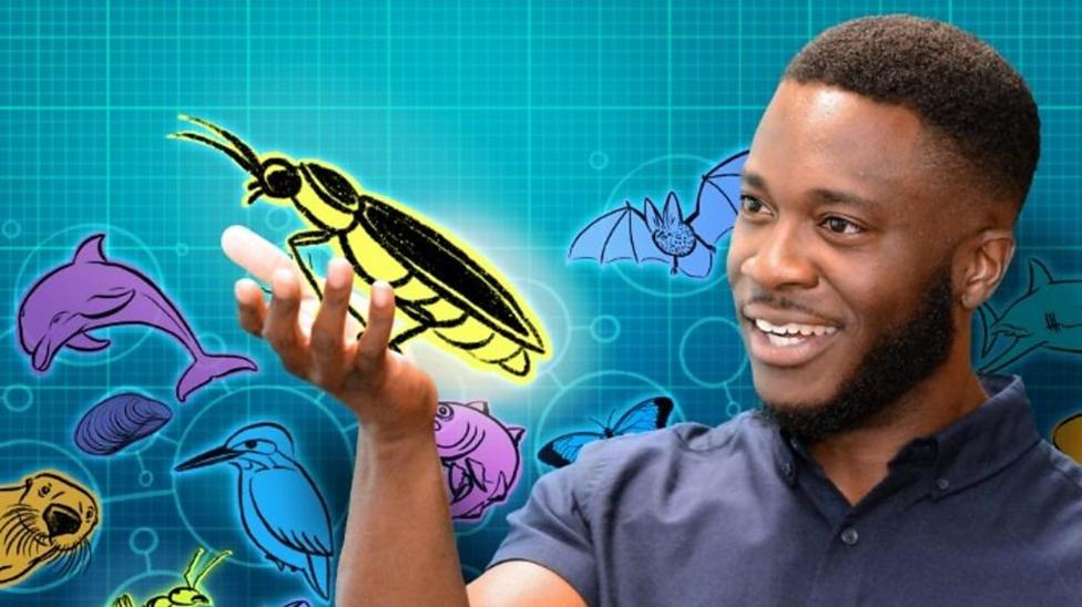 Scientists discover that platypus fur glows under UV light - BBC Newsround