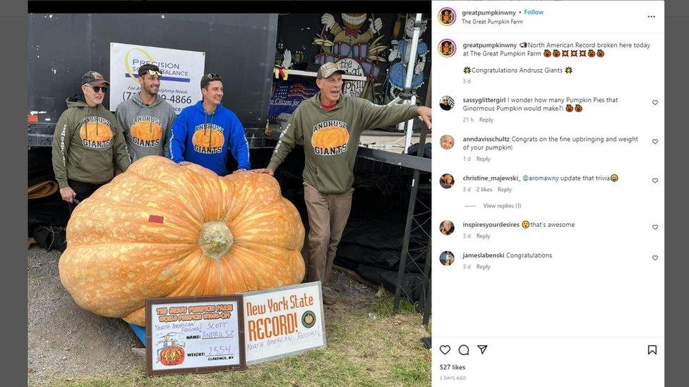 Record-breaking pumpkin weighs the same as a horse - BBC Newsround