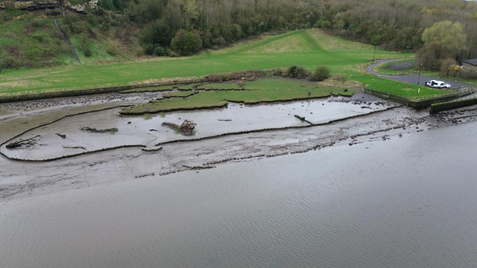 Saltmarshes to be restored on rivers Tyne and Wear - BBC News