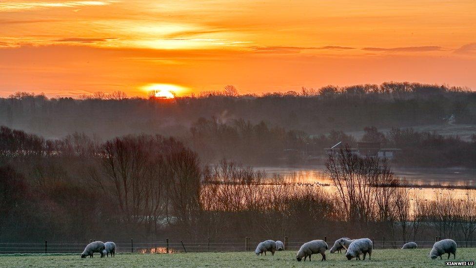 Your January UK weather photos - BBC Weather