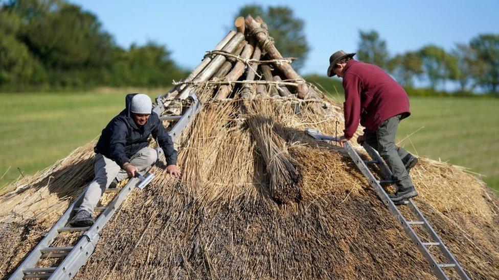 Butser Ancient Farm Bronze Age house built by military veterans - BBC News