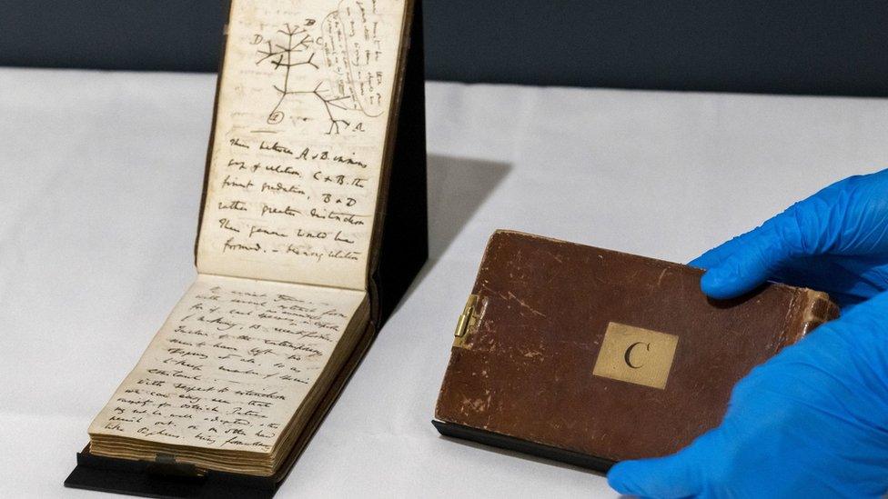 Charles Darwin: 'Lost' notebooks to go on display after 20 years! - BBC ...