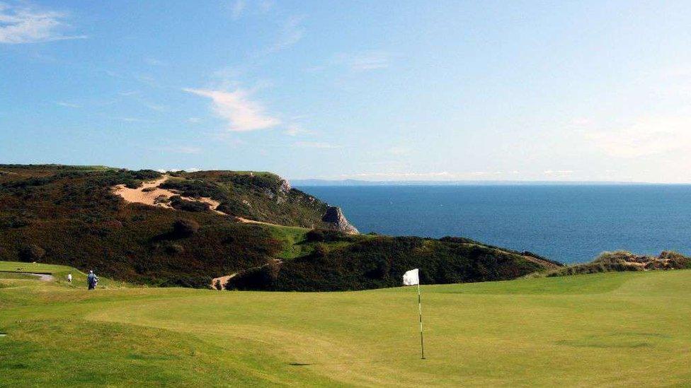 Gower golfer shaken after being charged by cow on course - BBC News