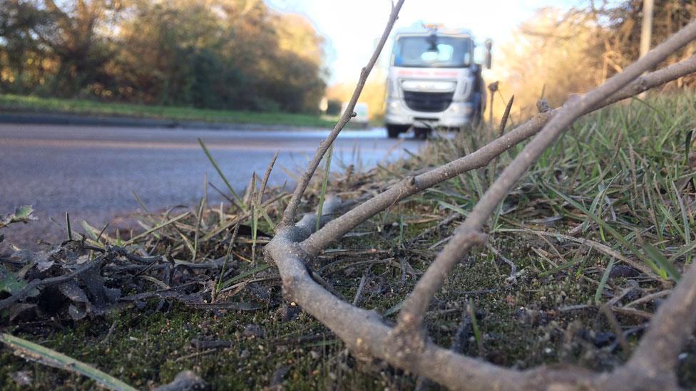 Tributes paid to three killed in Toddington car crash - BBC News
