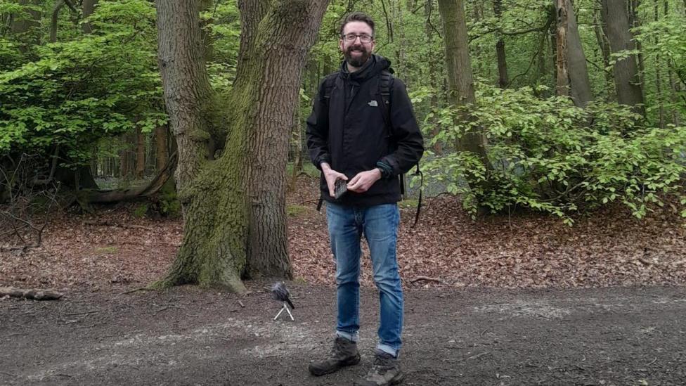 Musician captures calming Wendover woodland sounds in song - BBC News