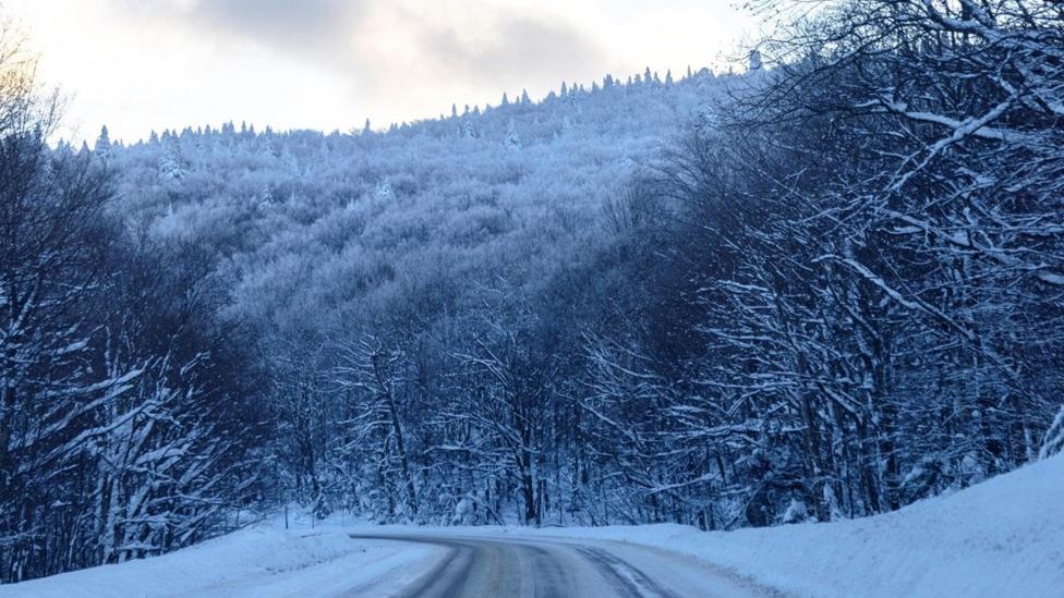 Blizzards and possible snow in southern states as cold grips North ...