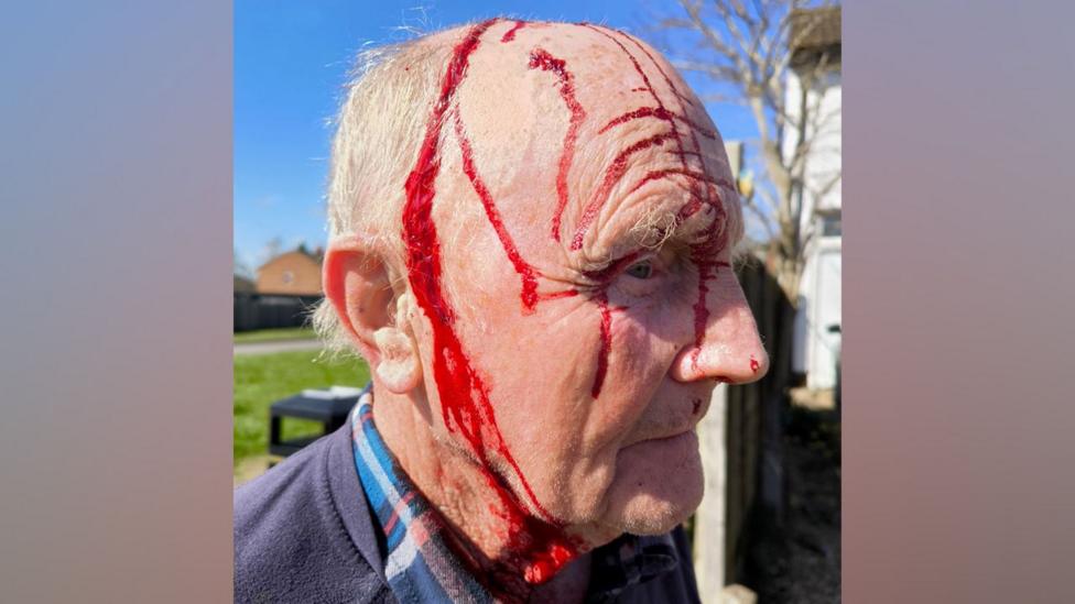 Flamstead hawk finds forever home with falconer - BBC News
