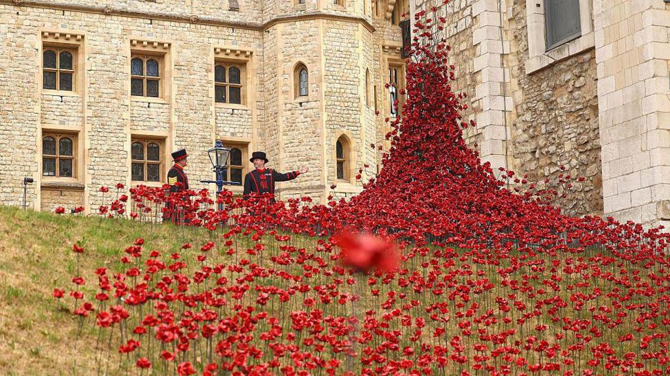 Thousands of poppies on display at Tower of London for VE Day - BBC News
