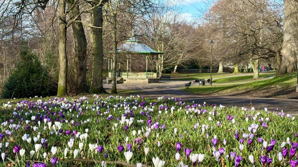 UK weather: Is milder air here to stay or will winter return? - BBC Weather