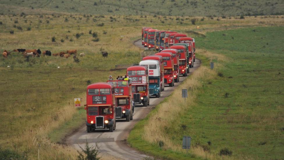 Wiltshire in pictures: Exotic animals and Stonehenge - BBC News