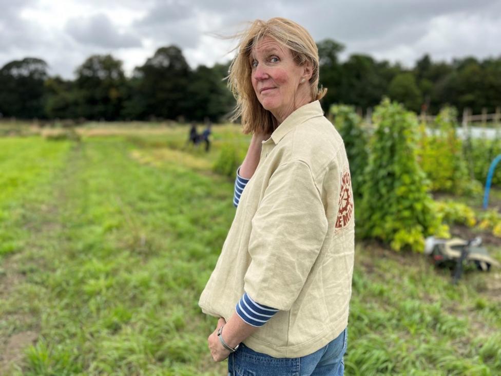 Flax: Bringing back the historic crop which could make fashion greener ...