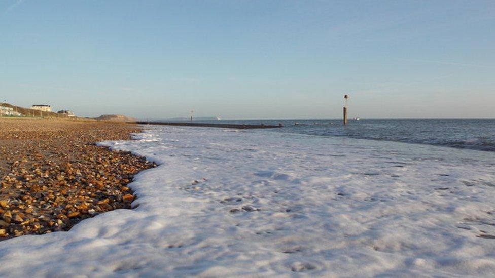 Bournemouth woman sectioned over 'demon' murder attempt - BBC News